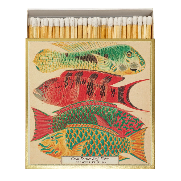 Archivist Match Boxes - Great Barrier Reef – Confetti Emporium